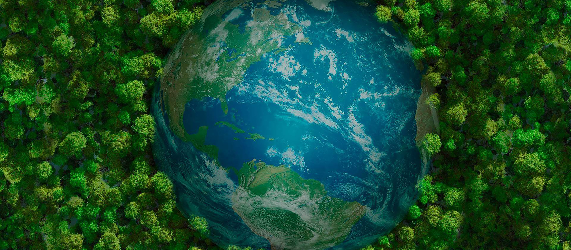 金年会|金年会·jinnian(金字招牌)诚信至上